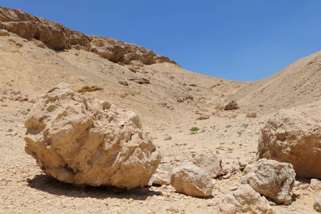 El Hassana Dome Protected Area – Eco Egypt